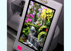 BabyLock Endurance - 6 Needle Embroidery Machine